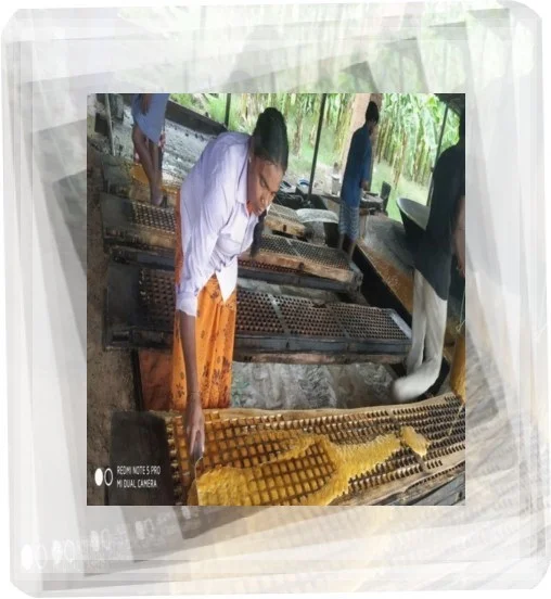 Manufacturing Organic Palm Jaggery Sugar,Palm Candy,Jaggery Powder ...